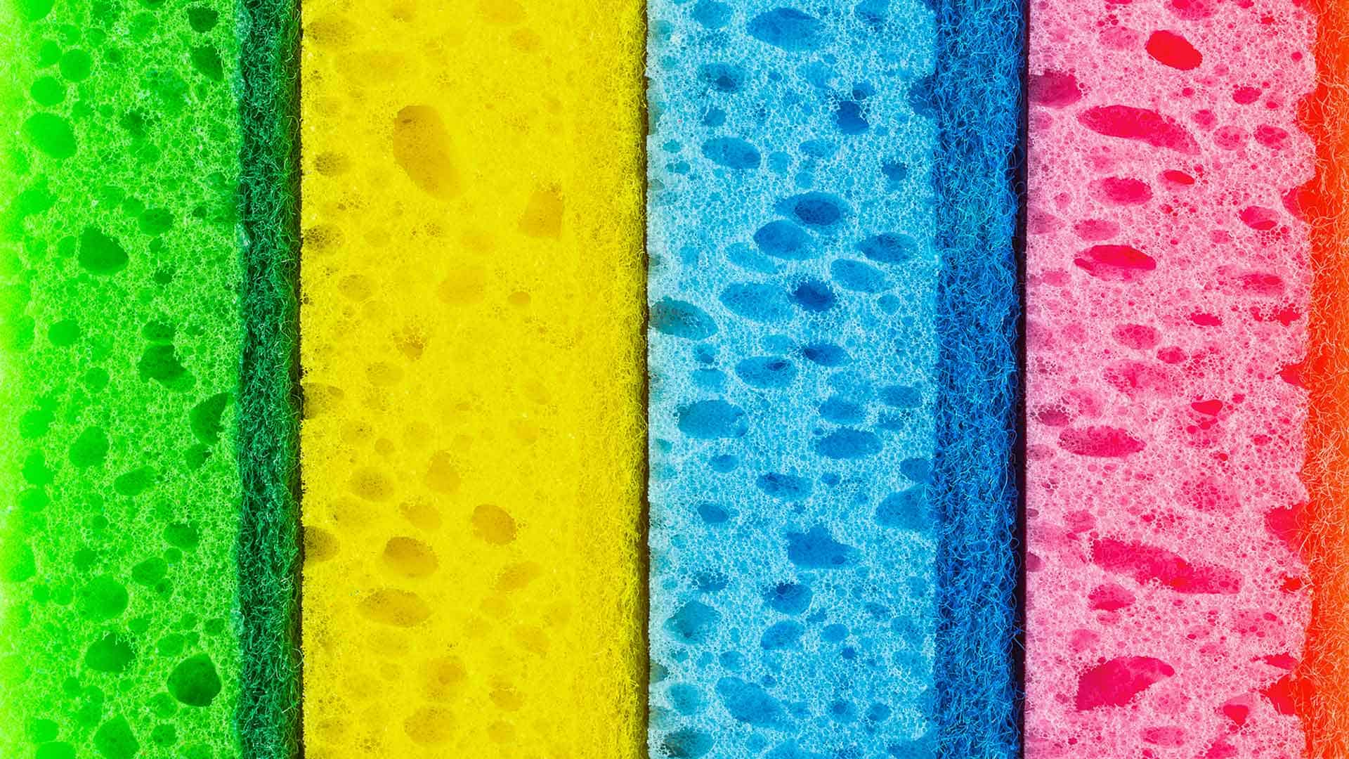 Sponge Test for Wood Rot - Home Tips for Women