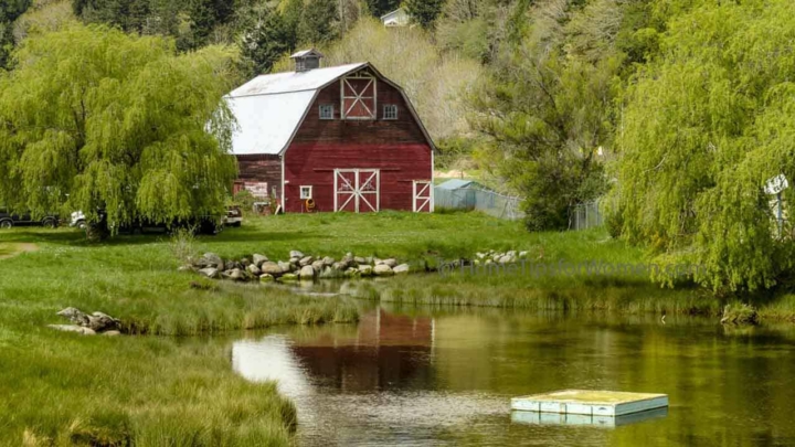 How Country Barns Have Influenced Our Lives - Home Tips for Women