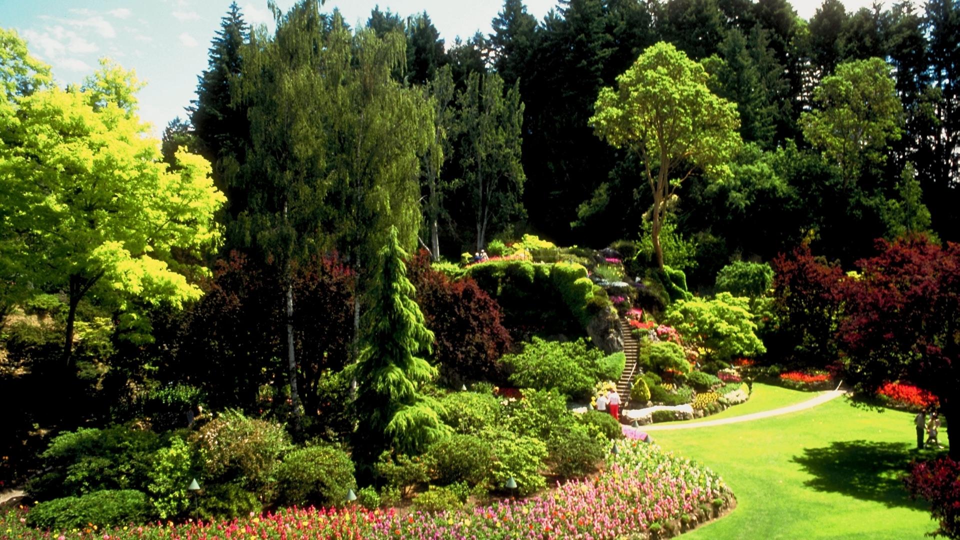 Simple Landscaping Ideas & Landscape Architects