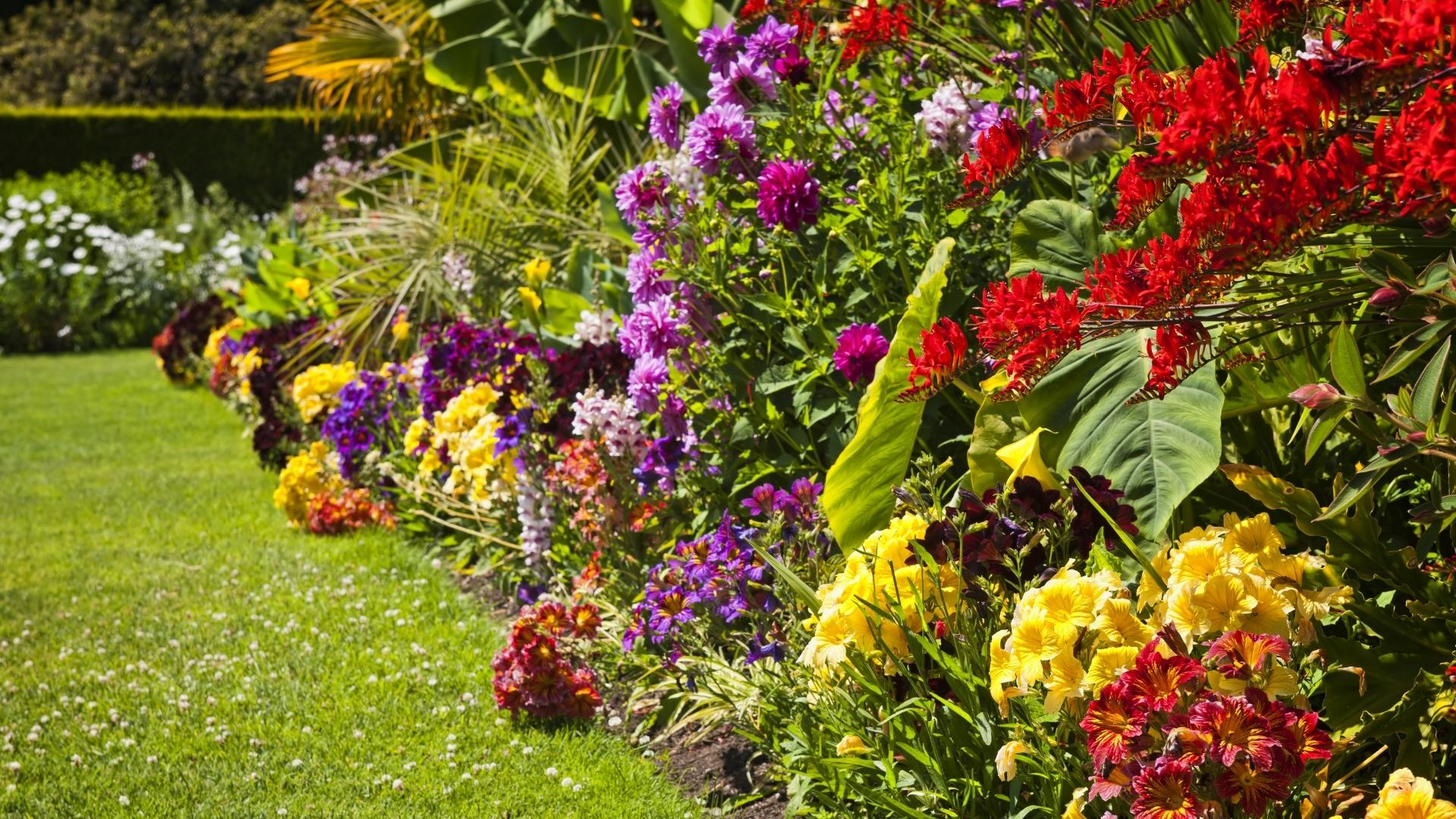 Simple Landscaping Ideas & Landscape Architects