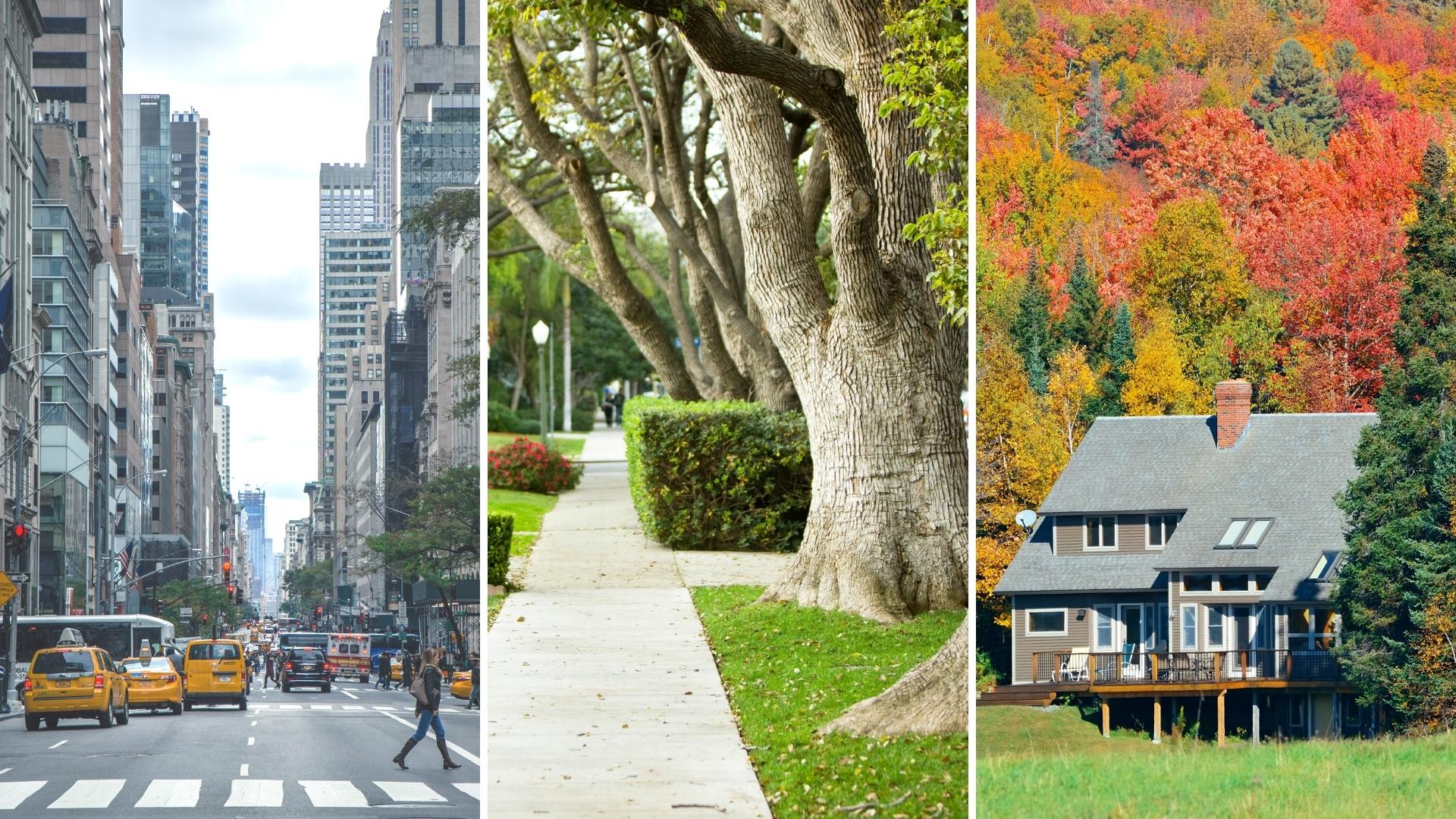 Why House Location is So Important - Home Tips for Women